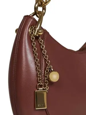 Chloé Blushy Brown Banana Small Hobo Bag