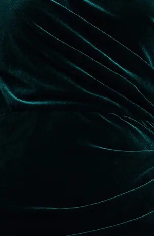 Betsy & Adam Off The Shoulder Asymmetric Velvet Gown