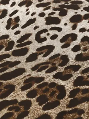 Dolce & Gabbana Leopardo Fitted Sheet