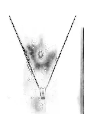 DANIEL WELLINGTON Emalie Logo-engraved Necklace