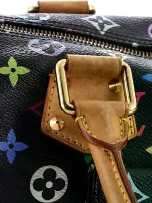 LOUIS VUITTON Speedy Handbag Monogram Multicolor 30 Satchel - Black