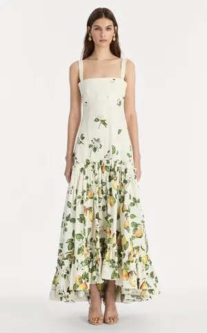 Oscar De La Renta Pear Floral Degradé Poplin Maxi Dress