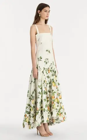 Oscar De La Renta Pear Floral Degradé Poplin Maxi Dress