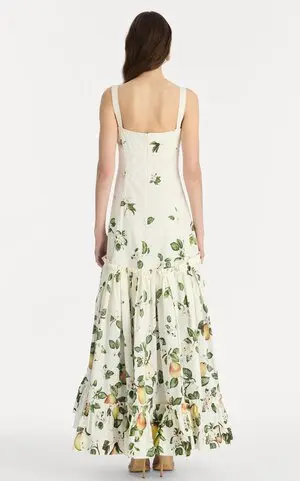 Oscar De La Renta Pear Floral Degradé Poplin Maxi Dress
