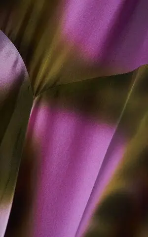 Dries Van Noten Dimitra Printed Midi Dress