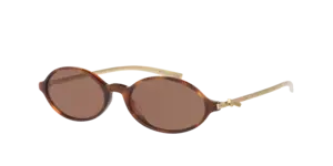 Dior Sunglass Bow R2i - Brown