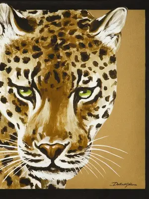 Dolce & Gabbana Graphic Cotton Cushion