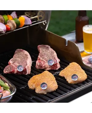 MAVERICK Mini Steak & Chicken Thermometer 4 Piece Set