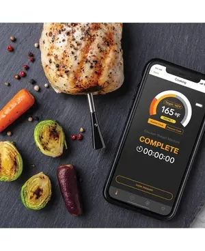 MAVERICK Stake Extended Range Wireless Bluetooth Thermometer, 7.38 L