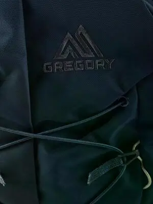GREGORY Terros 20l Logo-embroidered Bungee-cord Backpack