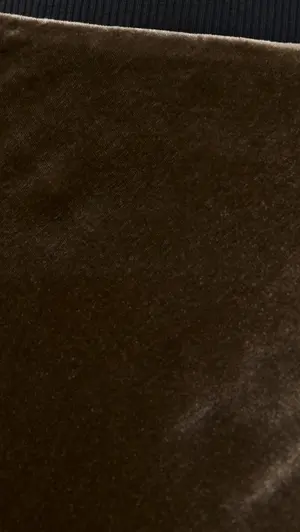 Velvet By Graham & Spencer Cadence Skirt