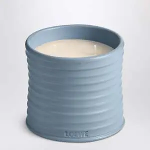 Loewe Medium Cypress-scented Candle