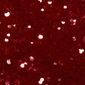 L'AGENCE Lior Sequin Top