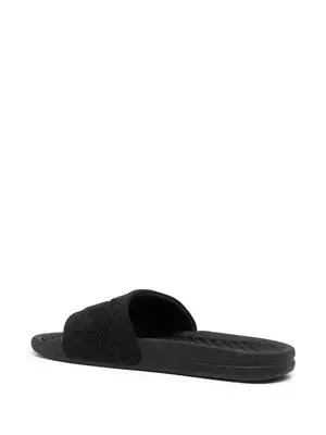 Apl Big Logo Techloom Slides