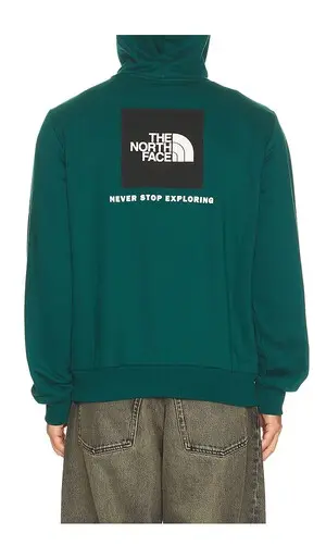 The North Face Evolution Box Nse Regular Hoodie In Green
