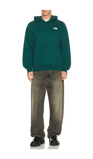 The North Face Evolution Box Nse Regular Hoodie In Green