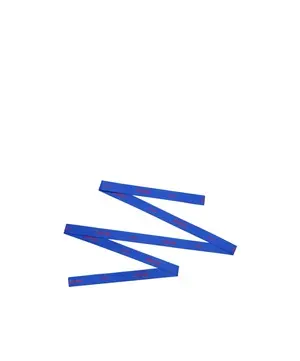 Celine Tape Ribbon, 192 - Blue/red