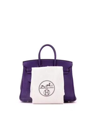 Hermès Birkin 25 Handbag Purple Togo With Palladium Hardware