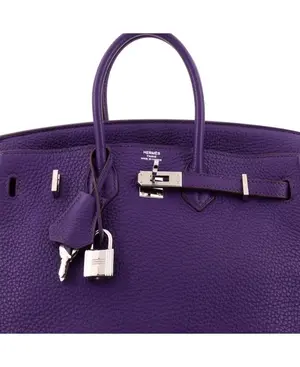 Hermès Birkin 25 Handbag Purple Togo With Palladium Hardware