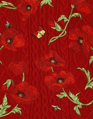 Dolce & Gabbana Virgin Wool Pullover