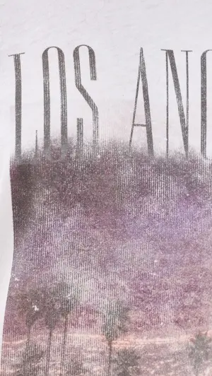 ANINE BING Cade Los Angeles Tee