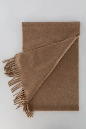 Prada Accessories Scarves & Shawls - Multicolor