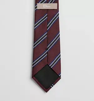 Dior Regimental Tie