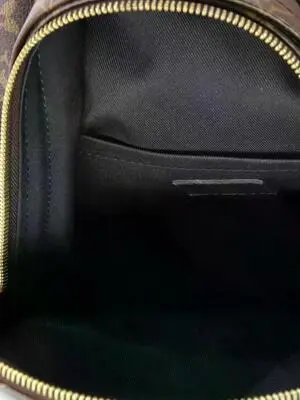 LOUIS VUITTON Palm Springs Monogram Canvas Pm Backpack
