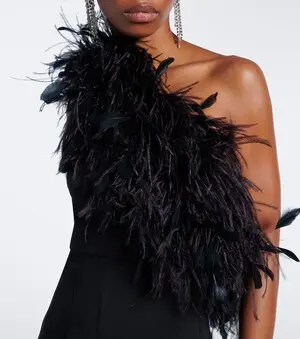 Dolce & Gabbana Feather-trimmed One-shoulder Gown