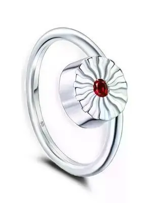 ANTY Aura Duo Ring