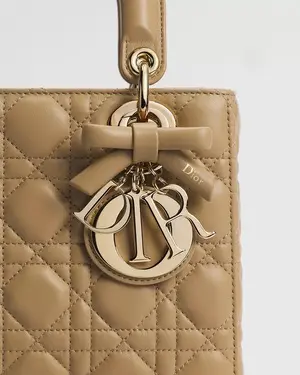 Dior Small Lady Shoulder Bag