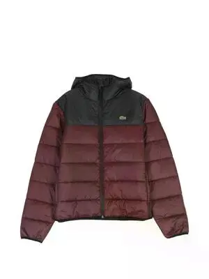 Lacoste Water-repellent Quilted Puffer Jacket