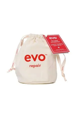 Evo The Repair Mane Introduction