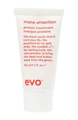 Evo The Repair Mane Introduction