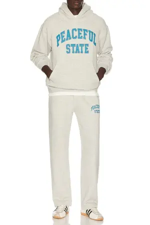 MUSEUM OF PEACE & QUIET Peaceful Hoodie In Grey