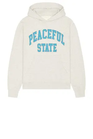 MUSEUM OF PEACE & QUIET Peaceful Hoodie In Grey
