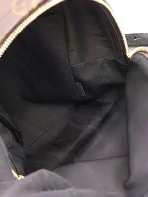 LOUIS VUITTON 2019 Pm Palm Springs Monogram Backpack