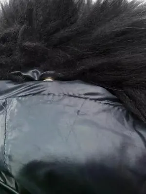Herno 2000s Iconico Fur-collar Coat