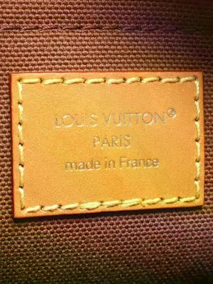 LOUIS VUITTON 2010s Monogram Amazon Shoulder Bag