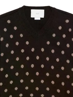 VANISE Polka-dot V-neck Sweater