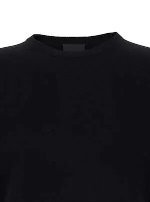 LEPLAIN Crewneck Long Sleeve Sweater In Cashmere