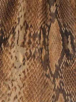 LEPLAIN Top Characterized Tortoiseshell Print In Tech Fabric For