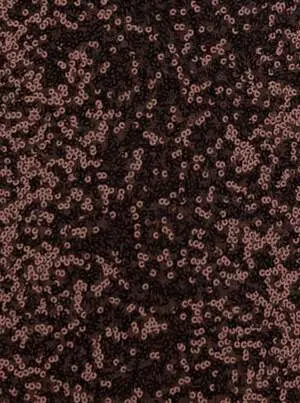 LEPLAIN Long Dress Plain With Straps And All-over Applied Sequins In Brown Fabric For