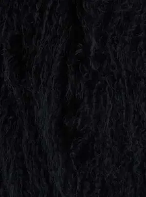 LEPLAIN Fur Vest With Sleeveless Design In Fur For
