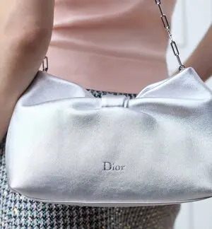 Dior Dioror Small Bow Bag - Silver