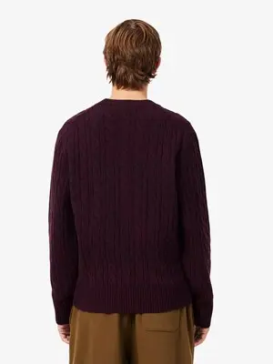 Lacoste Crew-neck Cable-knit Sweater In Carded Wool