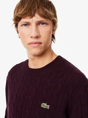 Lacoste Crew-neck Cable-knit Sweater In Carded Wool