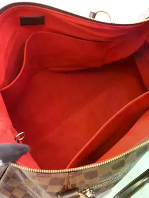 LOUIS VUITTON 2011 Gm Evora Damier-èbene Tote Bag