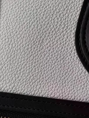 Celine Tricolor Luggage Bag Leather Micro Tote Bag