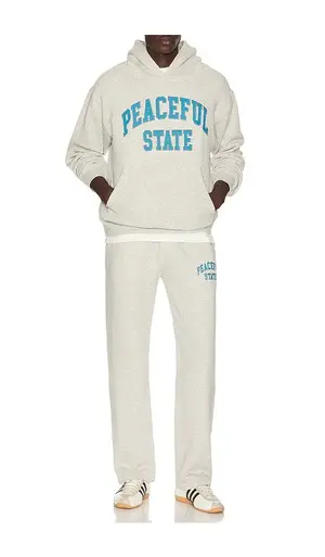 MUSEUM OF PEACE & QUIET Peaceful Hoodie In Grey